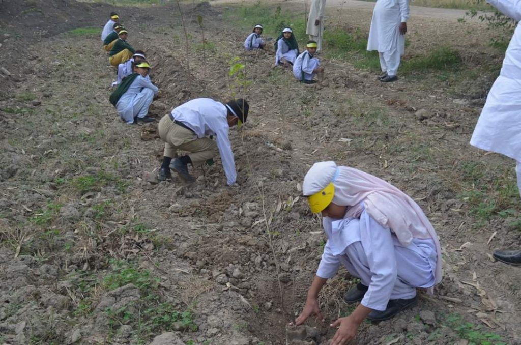 Caritas Pakistan in support of integral ecology, planting 700,000 ...
